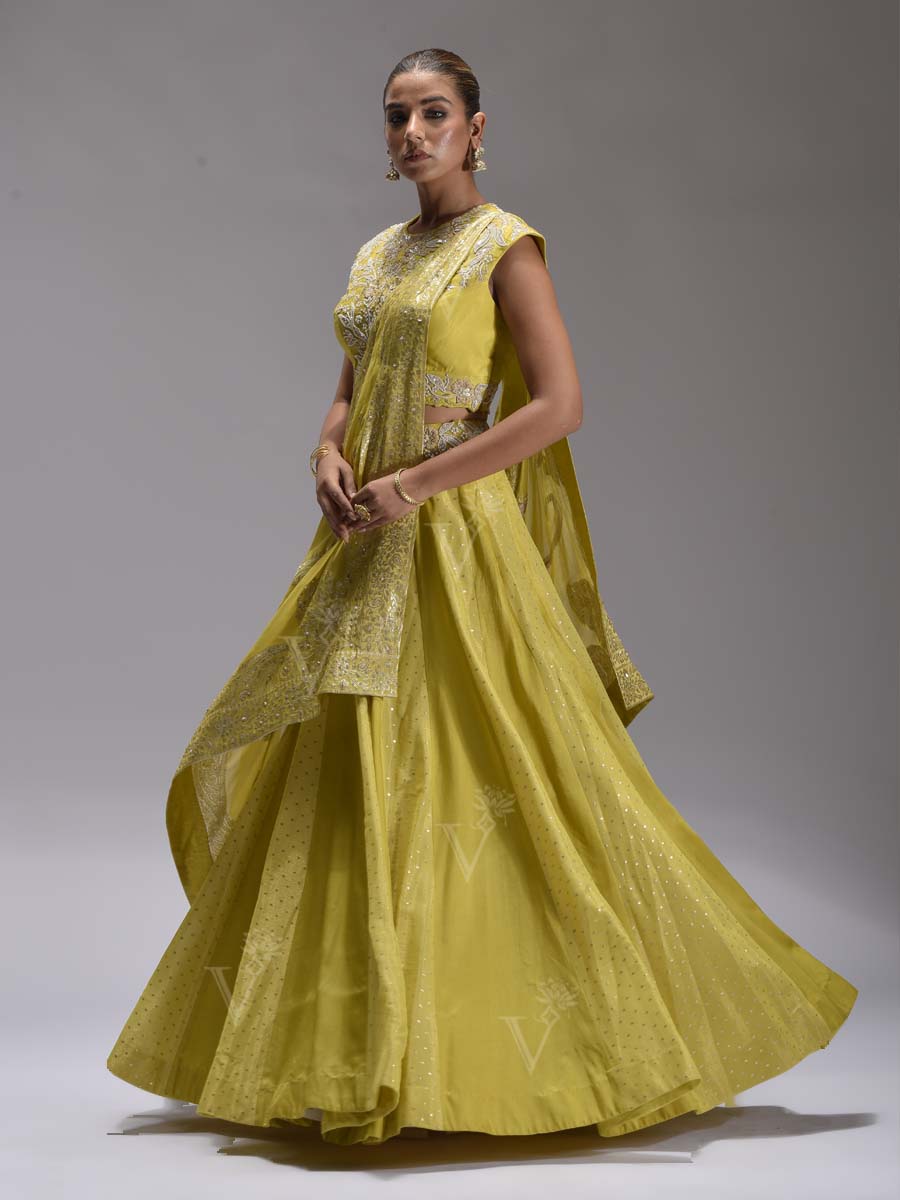 Buy Lime Tissue Lehenga Set Online – Vasansi Jaipur